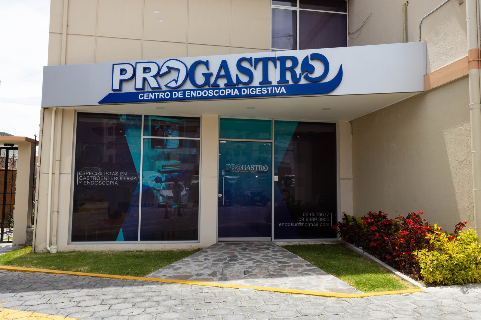 Progastro endoscopia digestiva